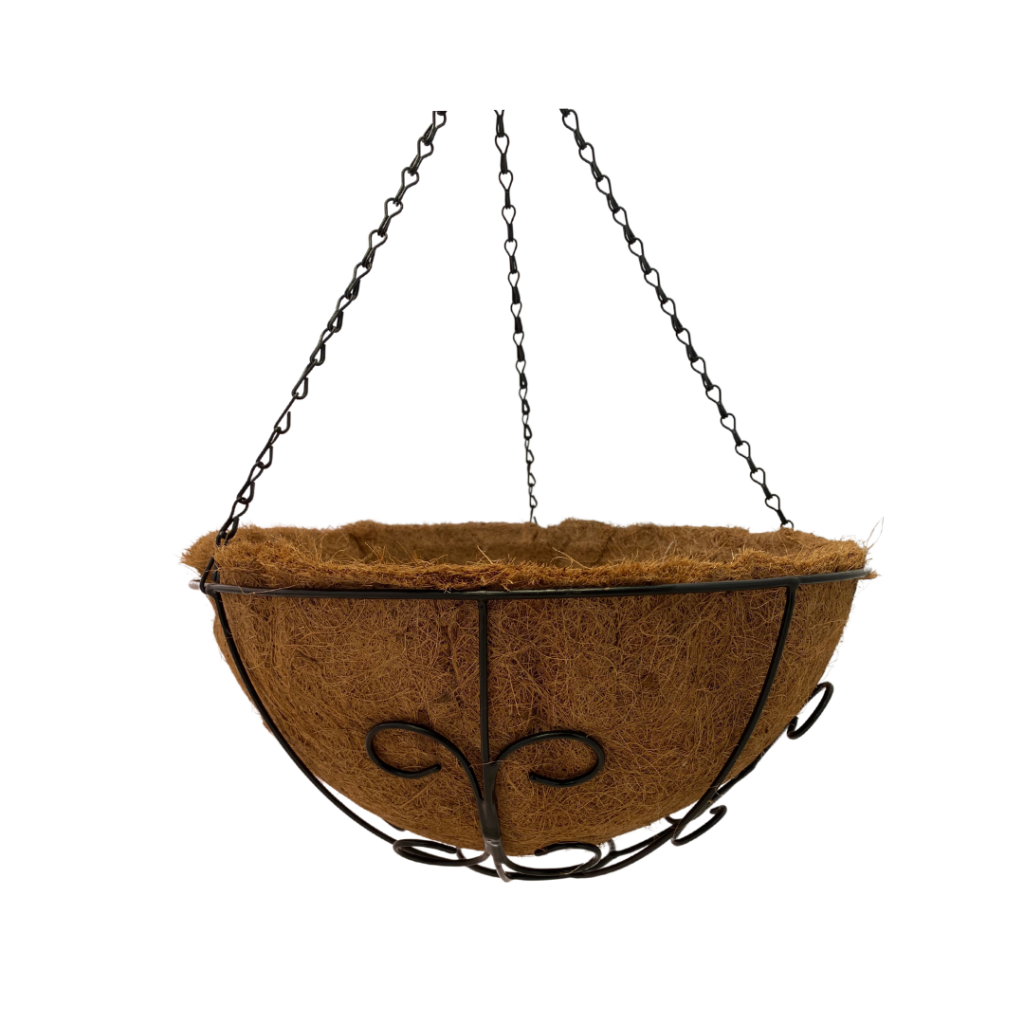 Hanging Basket Petit Lady - Mango Moon