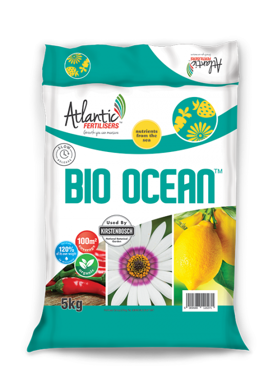 Bio Ocean - Mango Moon