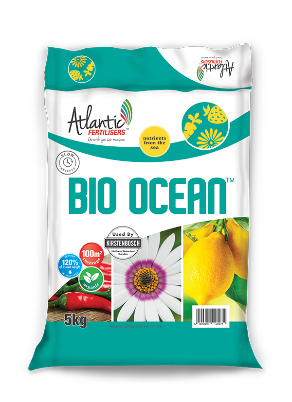 Bio Ocean - Mango Moon