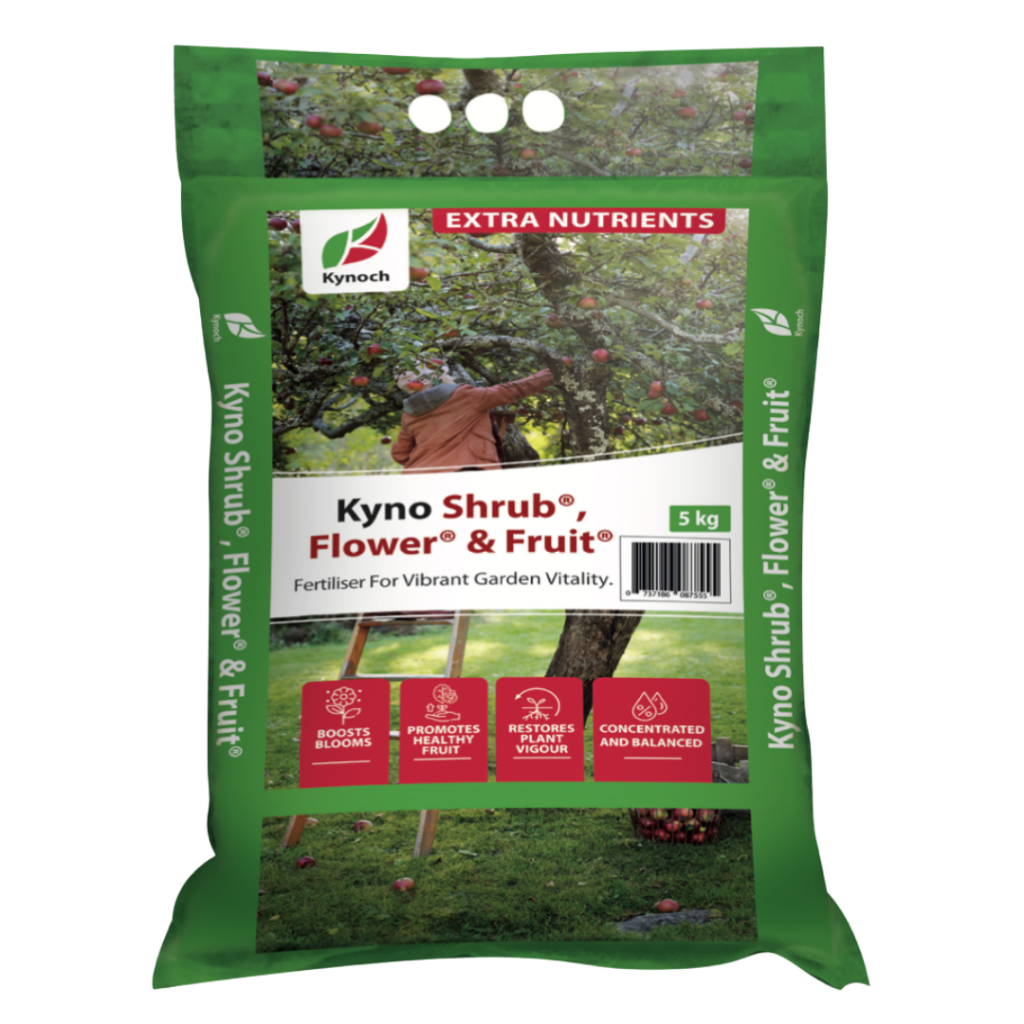 Kyno Shrub®,Flower® & Fruit® - Mango Moon