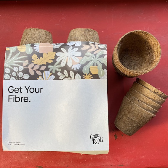 Growing - Mango Moon