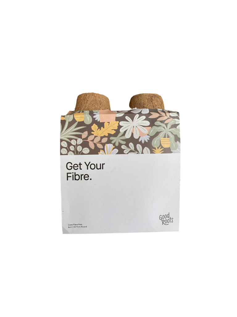 Fibre Pots - Mango Moon