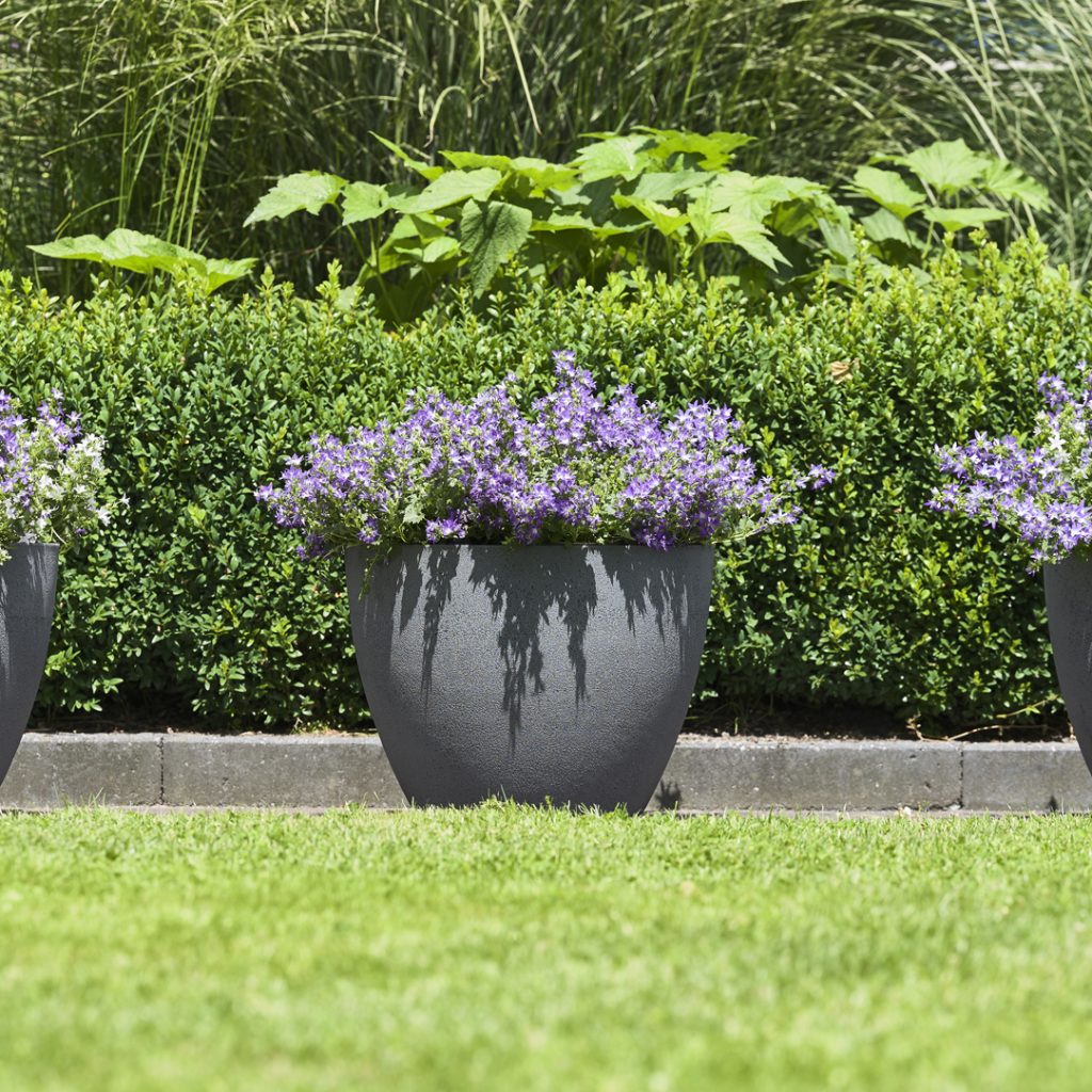 Ceramix Pots - Mango Moon