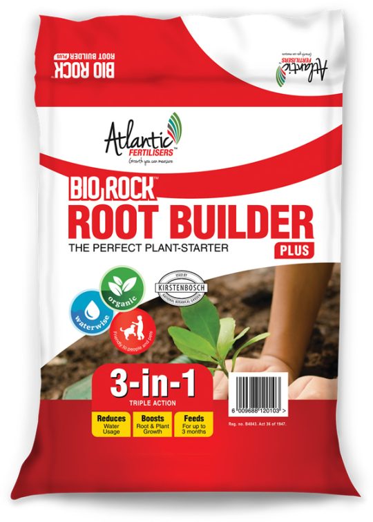 Bio Rock - Root Builder - Mango Moon