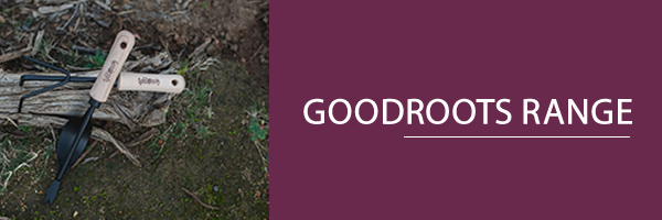 MangoHead - Mango Moon