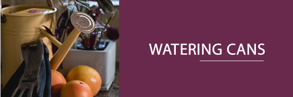 Blog - Medium - Mango Moon